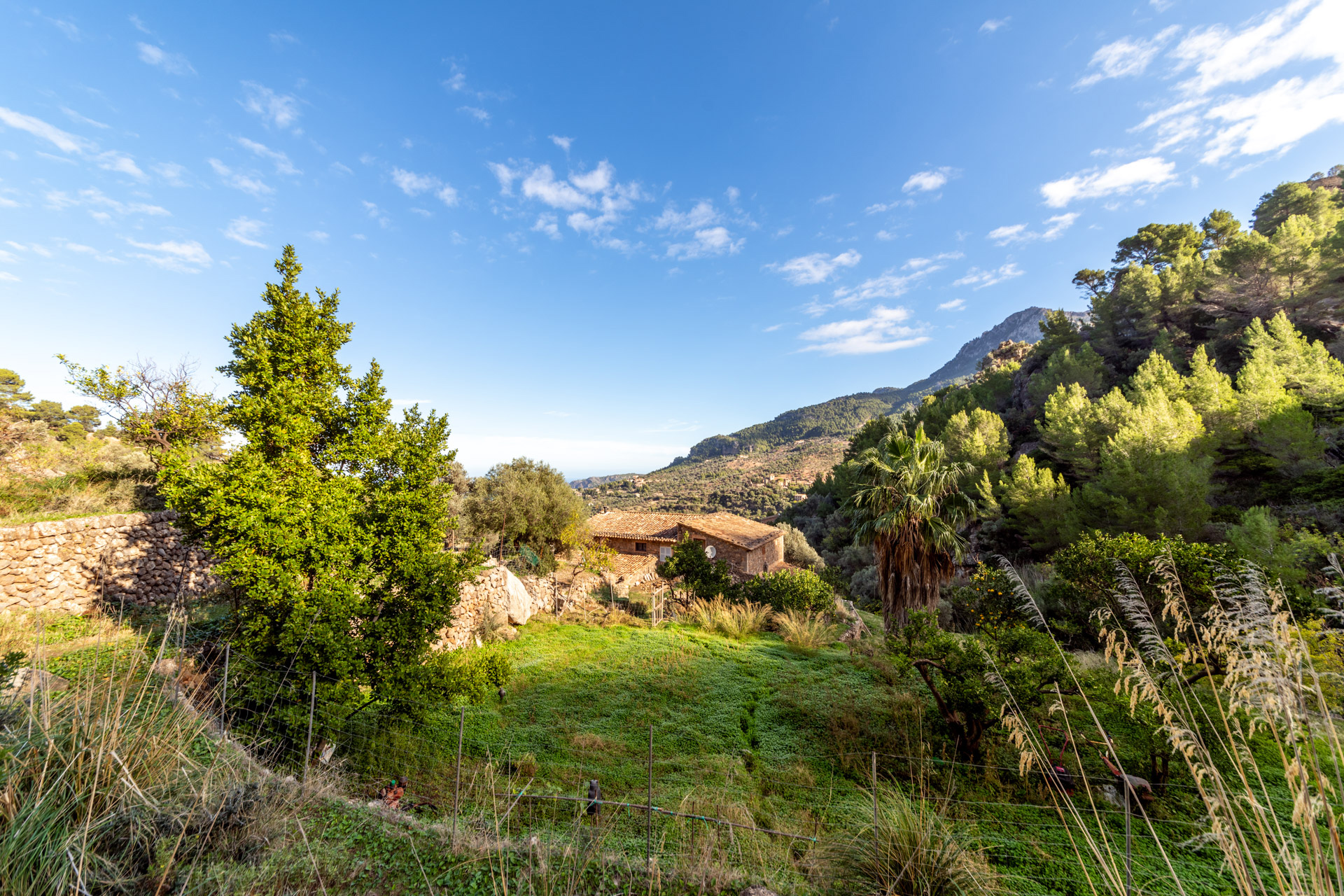 Large rustic finca in the mountains, only a few minutes from Deia-purchase
