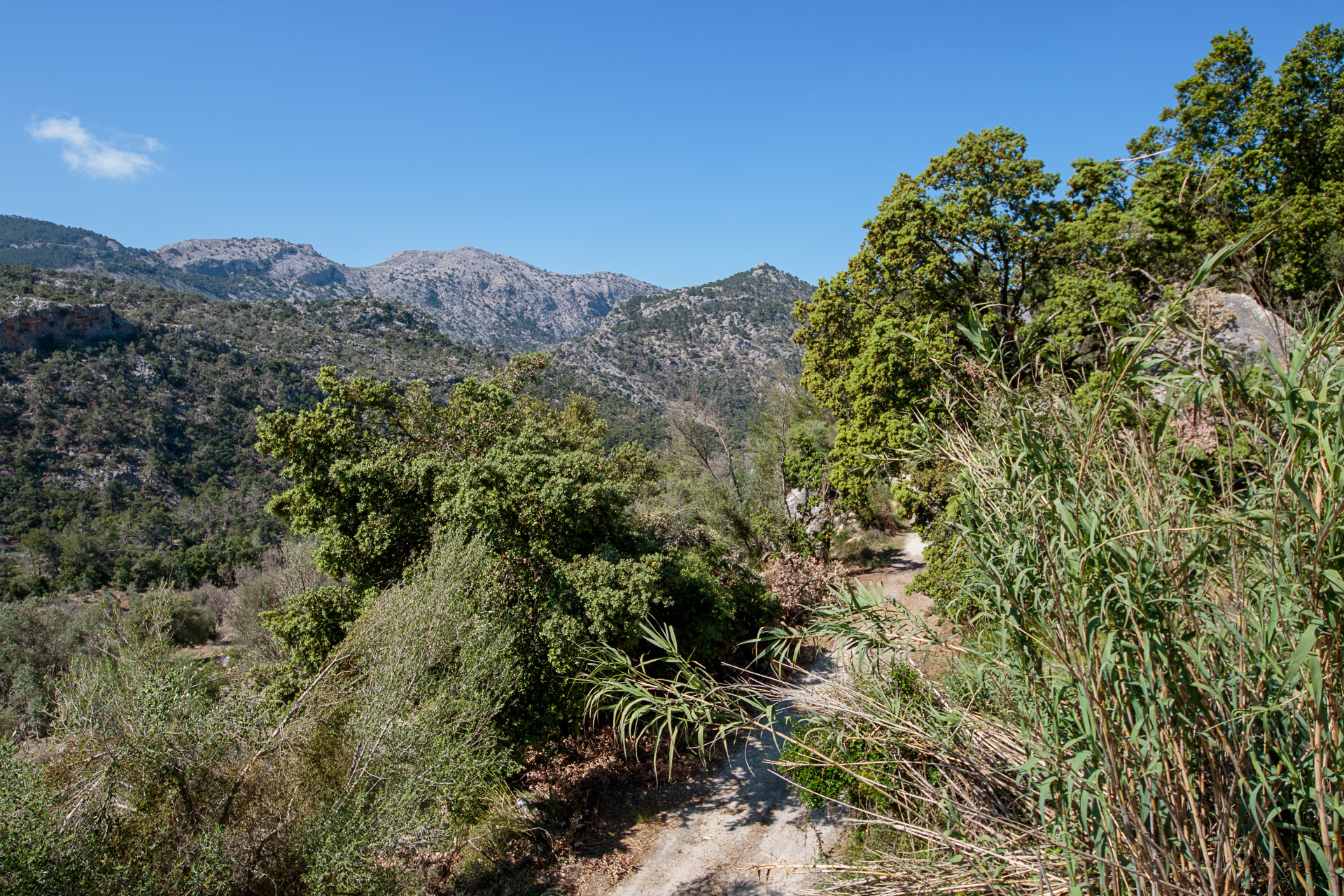 Idyllisches Anwesen in Orient im Naturparadies der Sierra de Tramontana ...