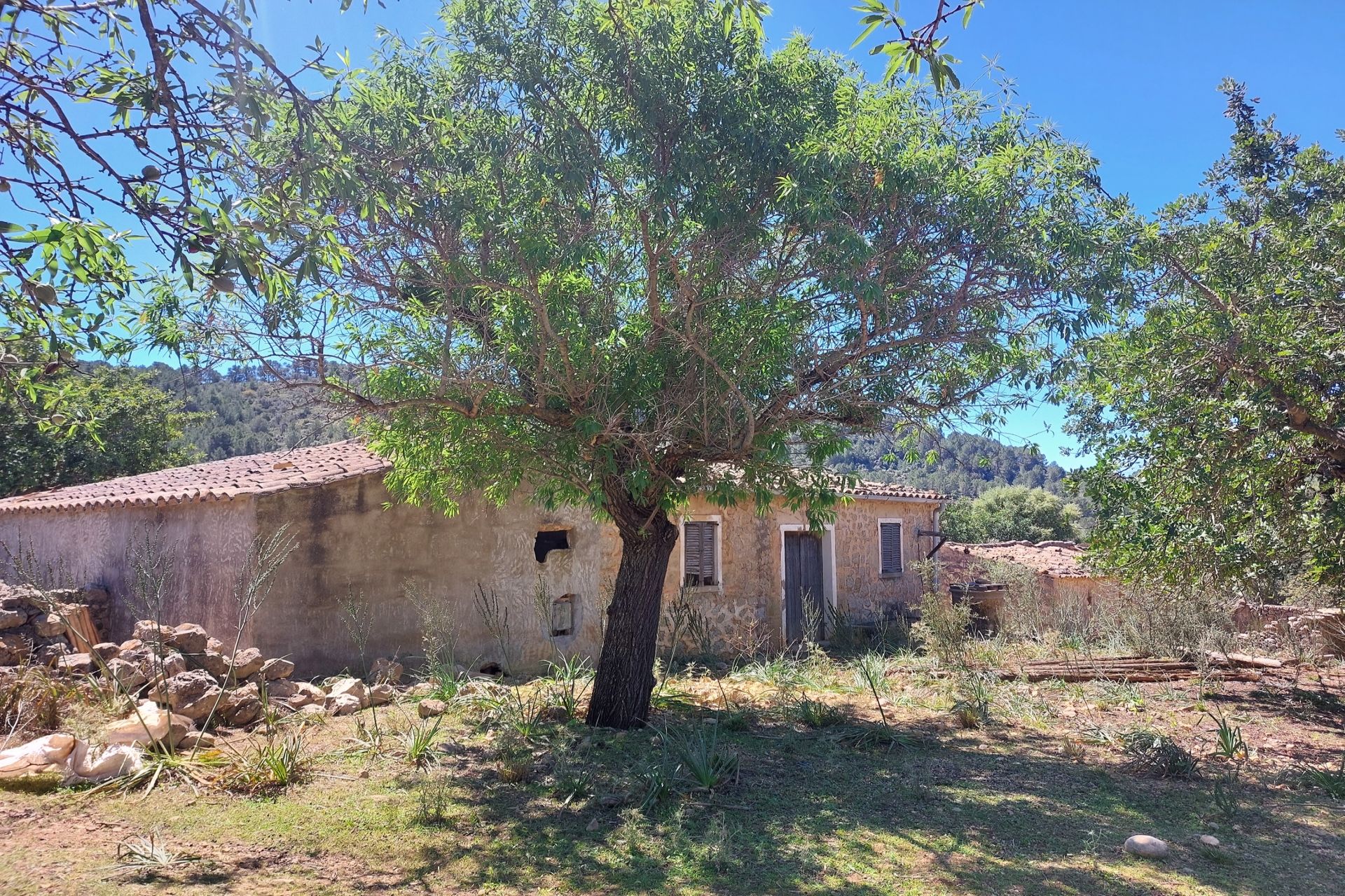 Finca-Projekt in traumhafter Hügellandschaft mit Bergblick bei Alaró ...